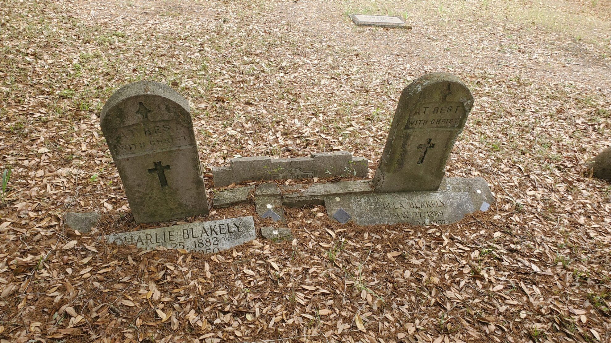 Cayce holding public presentation, Tuesday, on survey of African ...